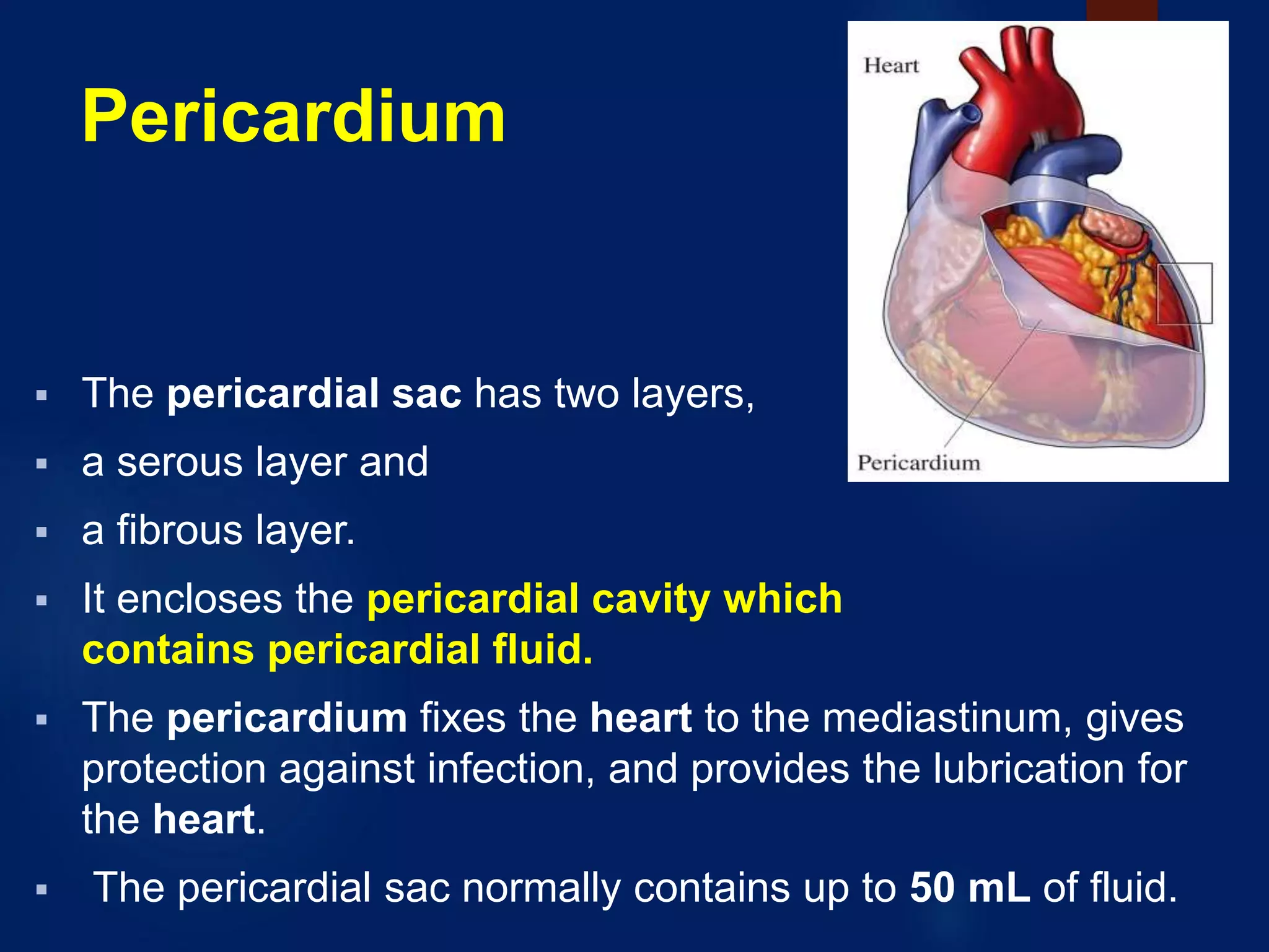 ANATOMY AND PHYSIOLOGY OF THE HEART | PPTX