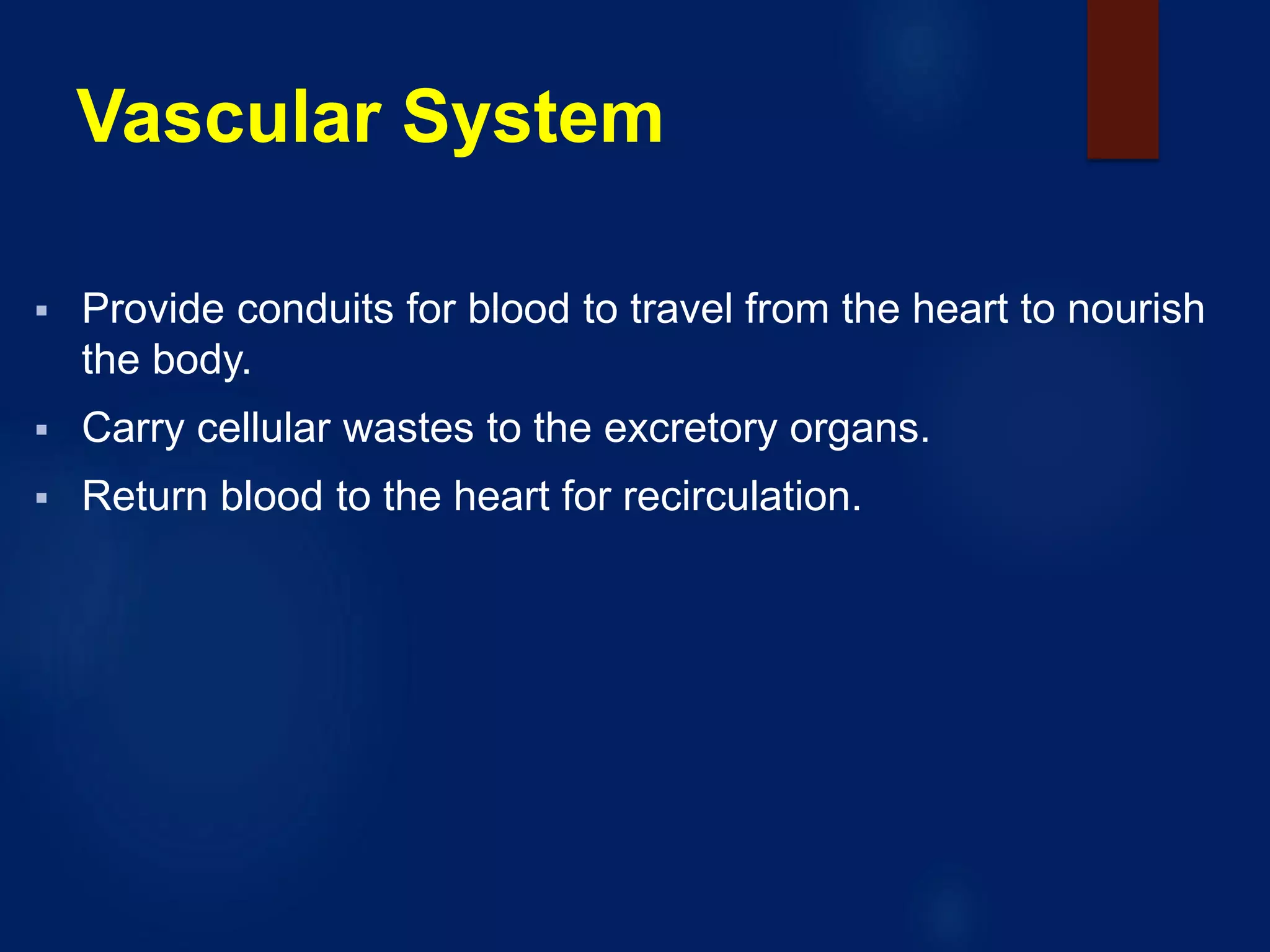 ANATOMY AND PHYSIOLOGY OF THE HEART | PPTX