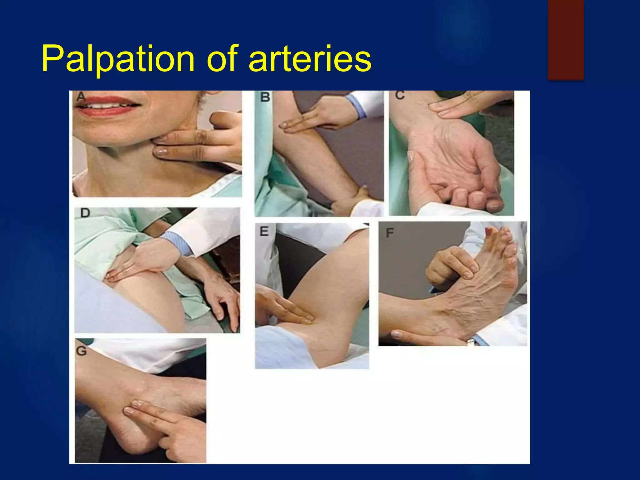 ANATOMY AND PHYSIOLOGY OF THE HEART | PPTX