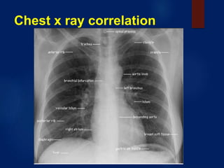 ANATOMY AND PHYSIOLOGY OF THE HEART | PPTX