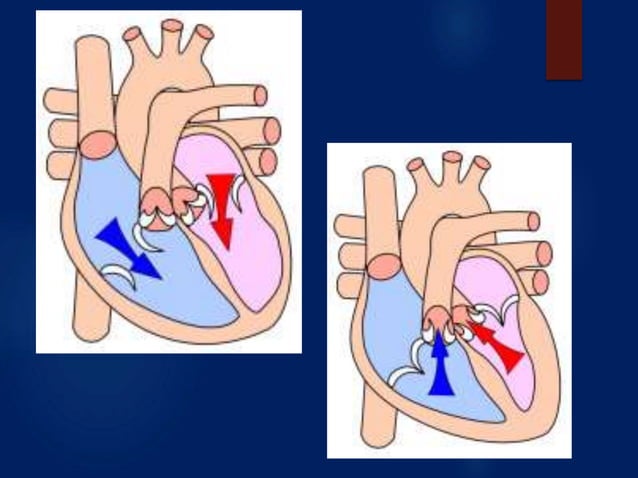 ANATOMY AND PHYSIOLOGY OF THE HEART | PPTX | Heart and Cardiovascular ...
