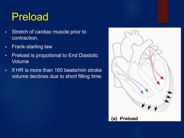ANATOMY AND PHYSIOLOGY OF THE HEART | PPTX | Heart and Cardiovascular ...
