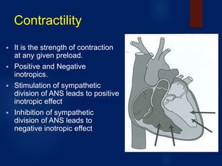 ANATOMY AND PHYSIOLOGY OF THE HEART | PPTX