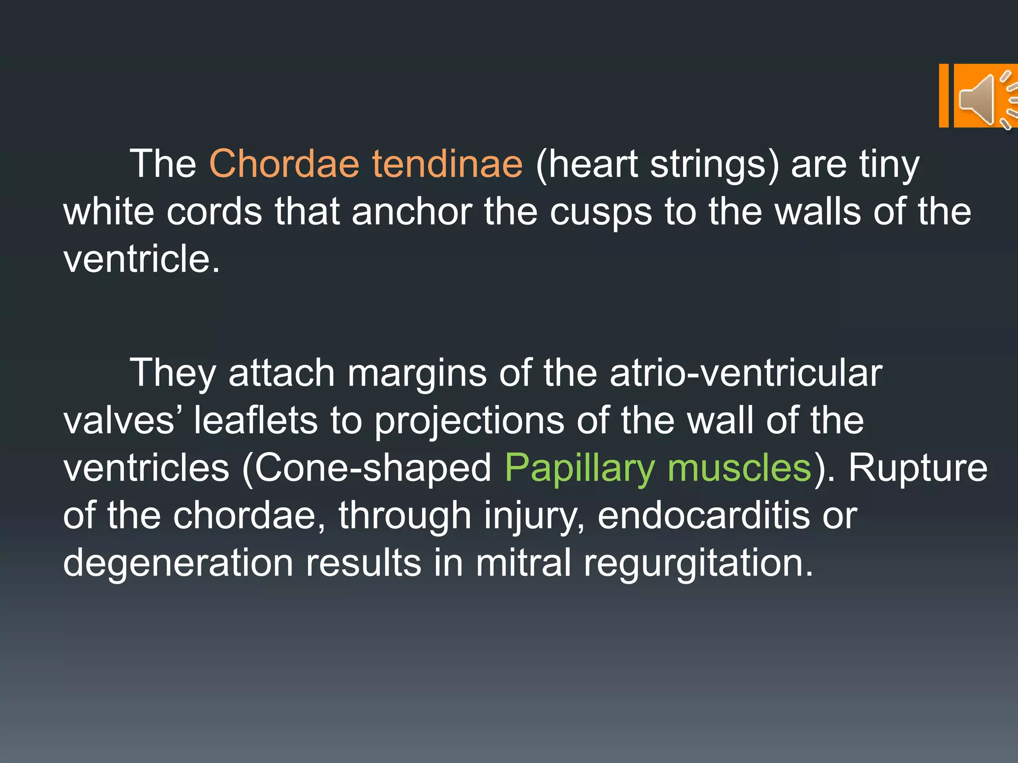 Anatomy and physiology of the heart by Adeboye Oluwajuyitan | PPTX