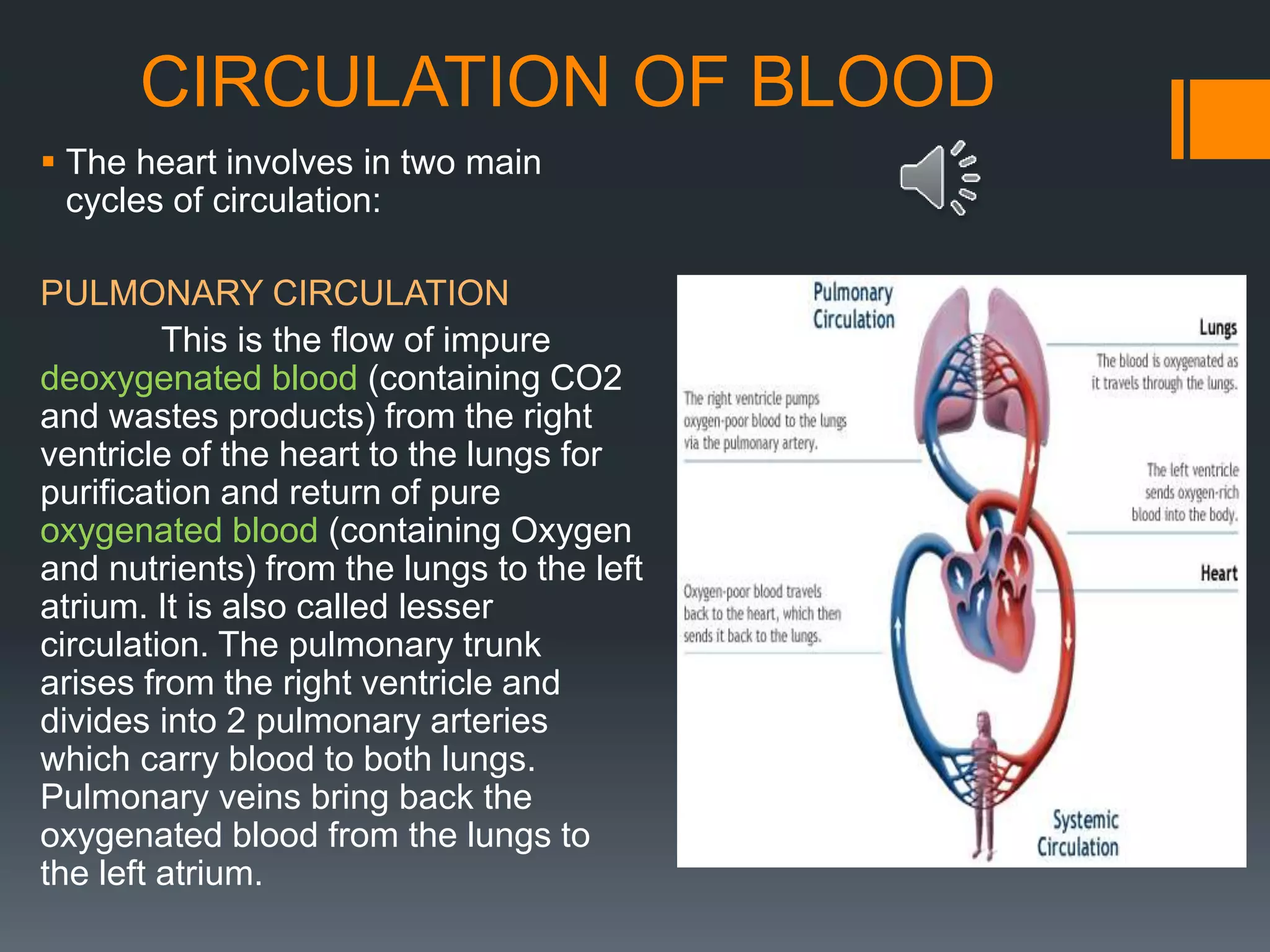 Anatomy and physiology of the heart by Adeboye Oluwajuyitan | PPTX