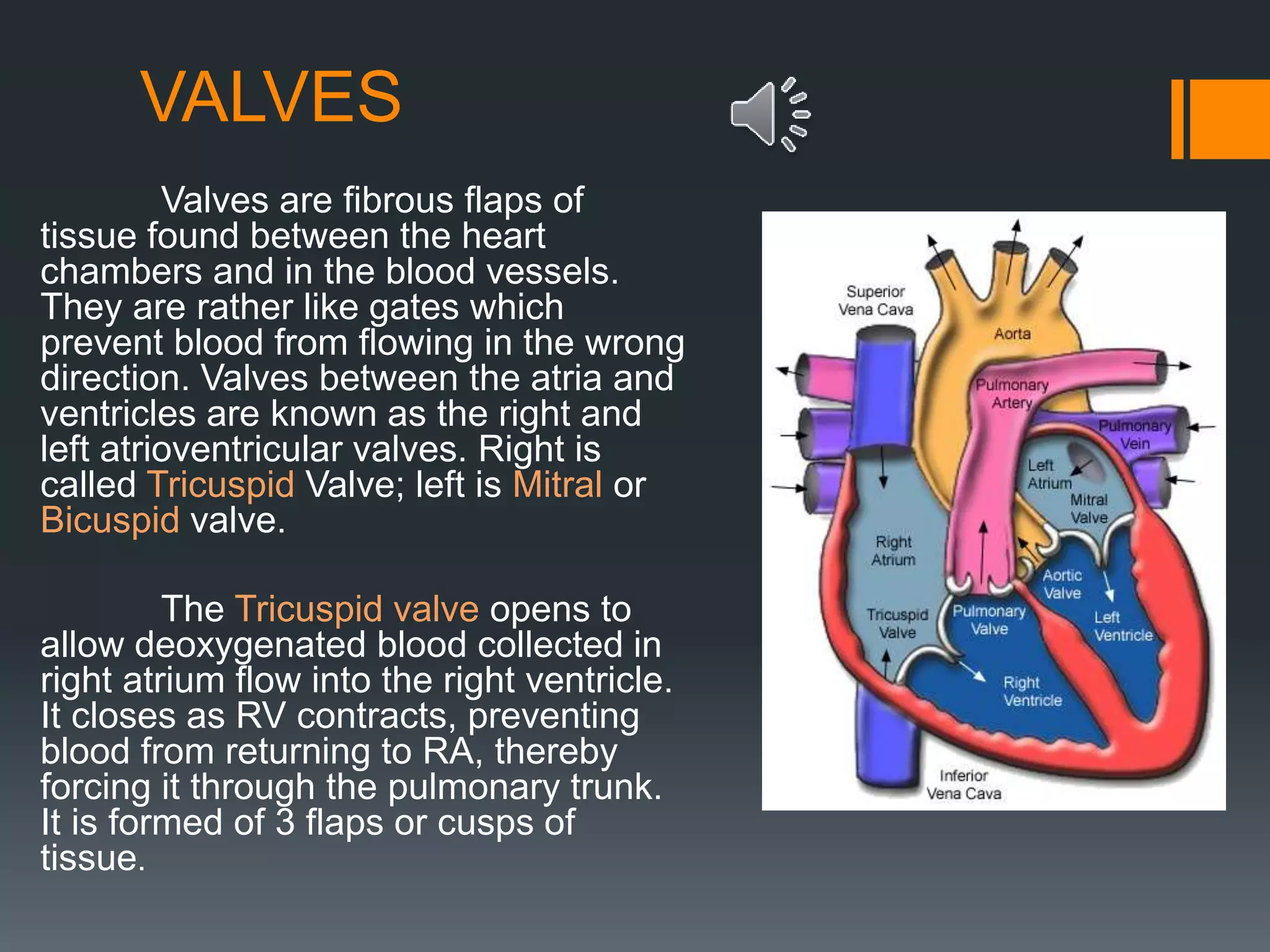 Anatomy and physiology of the heart by Adeboye Oluwajuyitan | PPTX