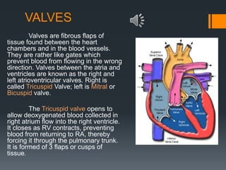 Anatomy and physiology of the heart by Adeboye Oluwajuyitan | PPTX