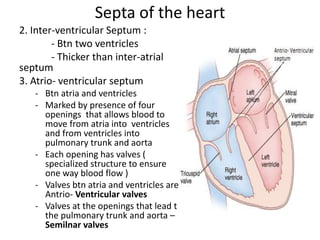 Anatomy and physiology of the heart | PPTX