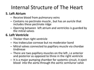 Anatomy and physiology of the heart | PPTX