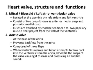 ANATOMY AND PHYSIOLOGY OF THE HEART.pptx