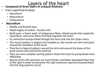 ANATOMY AND PHYSIOLOGY OF THE HEART.pptx