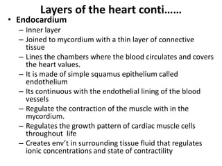 ANATOMY AND PHYSIOLOGY OF THE HEART.pptx