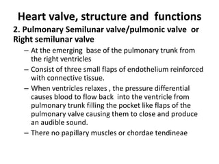 ANATOMY AND PHYSIOLOGY OF THE HEART.pptx
