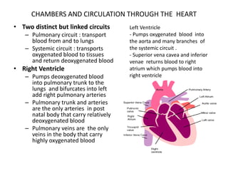 ANATOMY AND PHYSIOLOGY OF THE HEART.pptx
