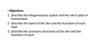 Comprehensive Overview of the Integumentary System: Anatomy, Physiology ...