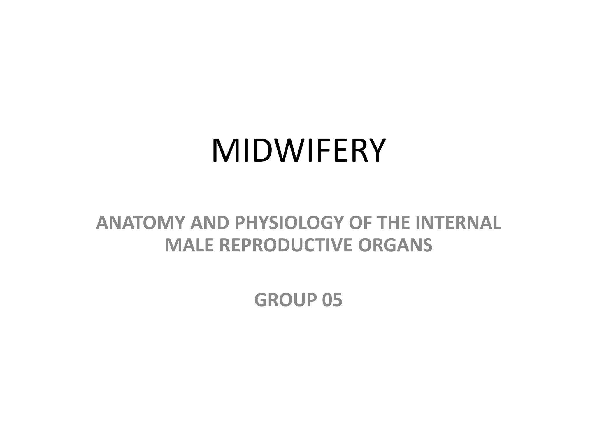 ANATOMY AND PHYSIOLOGY OF THE INTERNAL MALE REPRODUCTIVE ORGANS.pptx