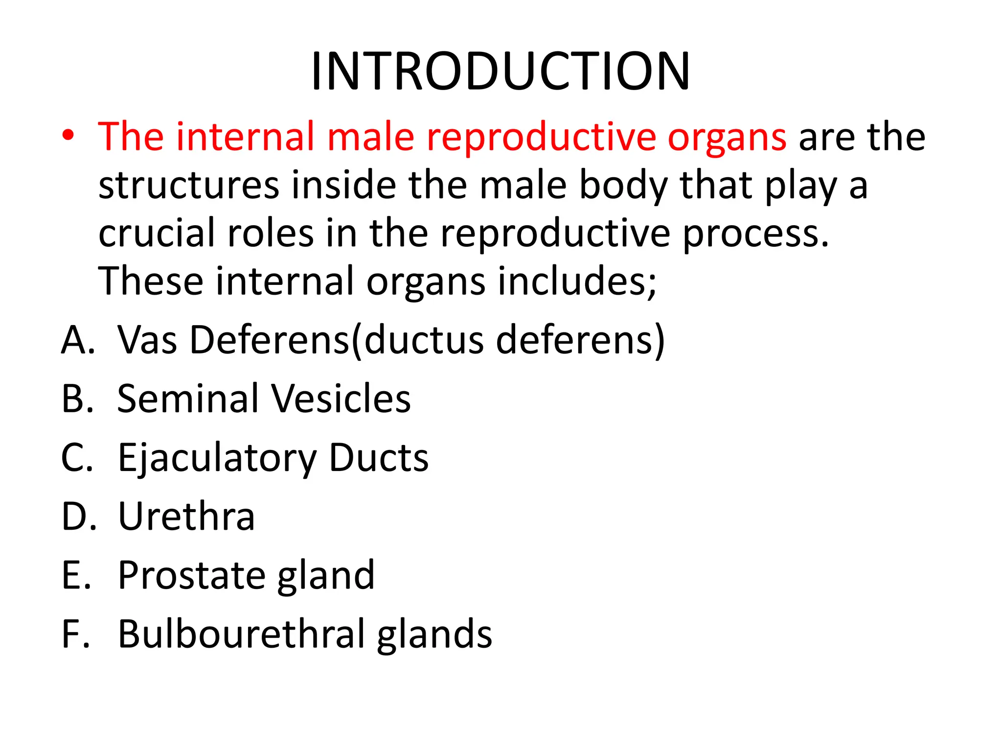 ANATOMY AND PHYSIOLOGY OF THE INTERNAL MALE REPRODUCTIVE ORGANS.pptx