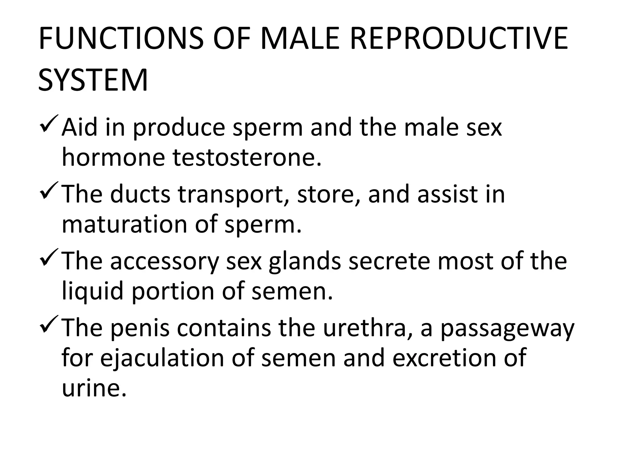ANATOMY AND PHYSIOLOGY OF THE INTERNAL MALE REPRODUCTIVE ORGANS.pptx