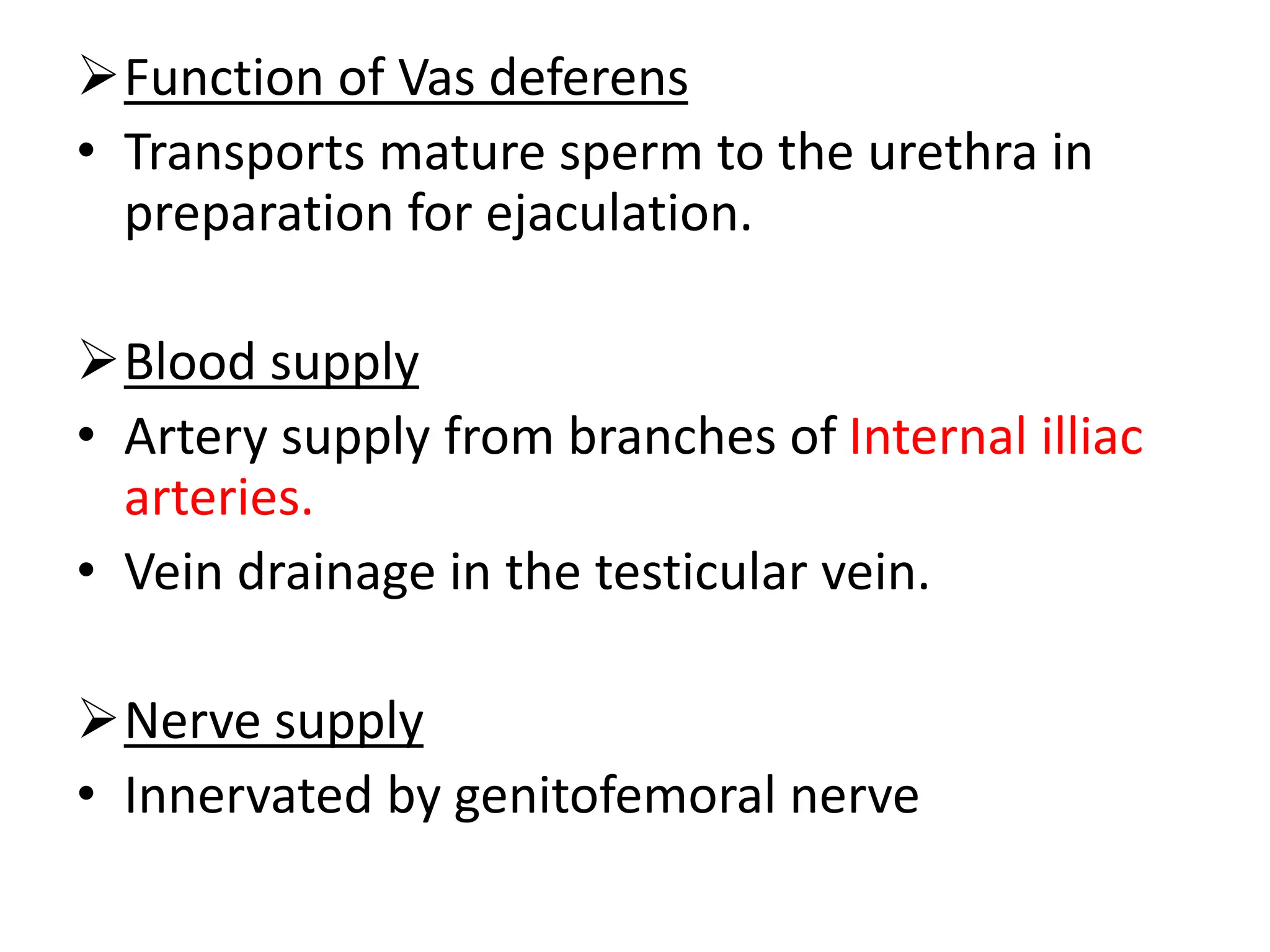 ANATOMY AND PHYSIOLOGY OF THE INTERNAL MALE REPRODUCTIVE ORGANS.pptx
