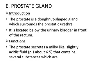 ANATOMY AND PHYSIOLOGY OF THE INTERNAL MALE REPRODUCTIVE ORGANS.pptx