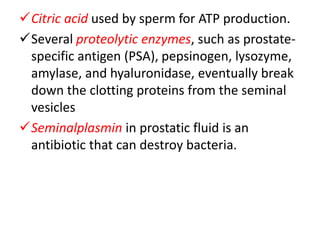 ANATOMY AND PHYSIOLOGY OF THE INTERNAL MALE REPRODUCTIVE ORGANS.pptx