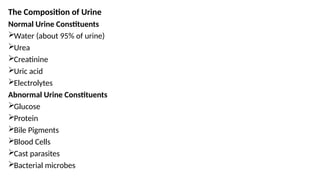 ANATOMY_AND_PHYSIOLOGY_OF_THE_KIDNEY (1).pptx