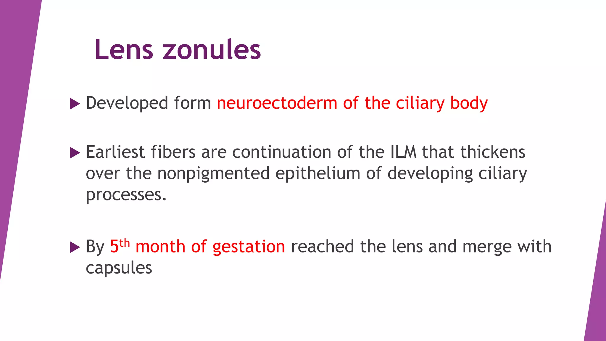anatomy and physiology of the lens | PPT