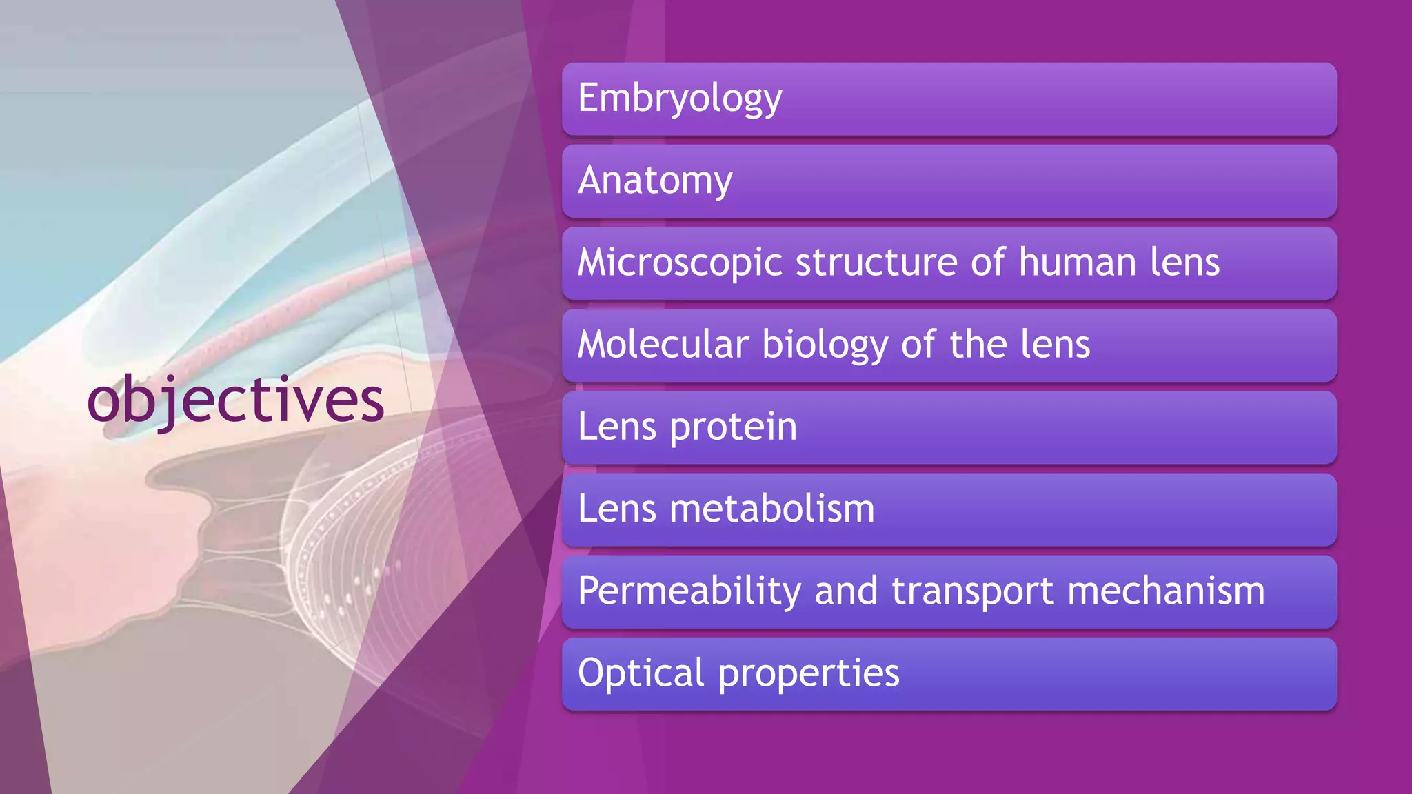 anatomy and physiology of the lens | PPT