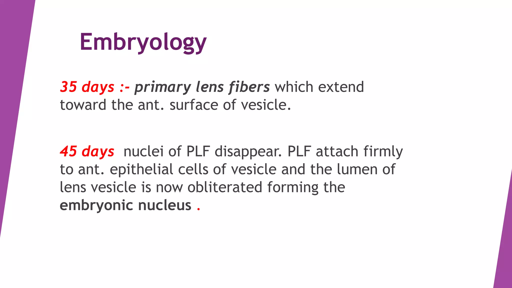 anatomy and physiology of the lens | PPTX