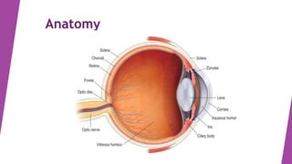 anatomy and physiology of the lens | PPTX