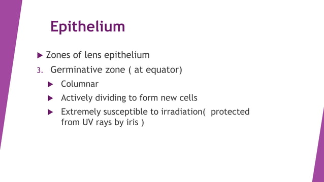 anatomy and physiology of the lens | PPTX | Eye and Vision Conditions ...