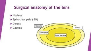 anatomy and physiology of the lens | PPTX