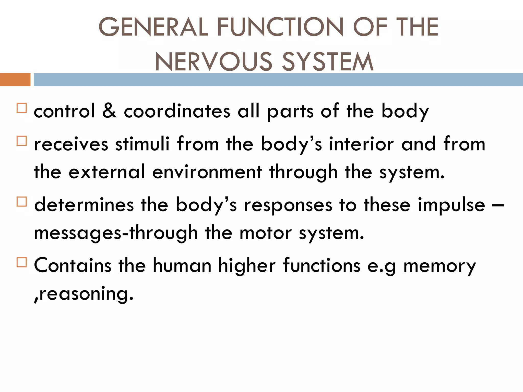 Anatomy and physiology of the nervous system | PPT