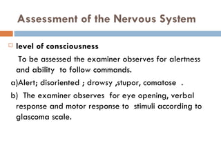 Anatomy and physiology of the nervous system | PPT