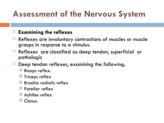 Anatomy and physiology of the nervous system | PPT