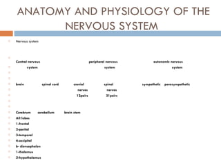 Anatomy and physiology of the nervous system | PPT