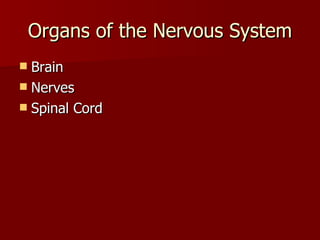Anatomy And Physiology Of The Nervous System Ch12 | PPT