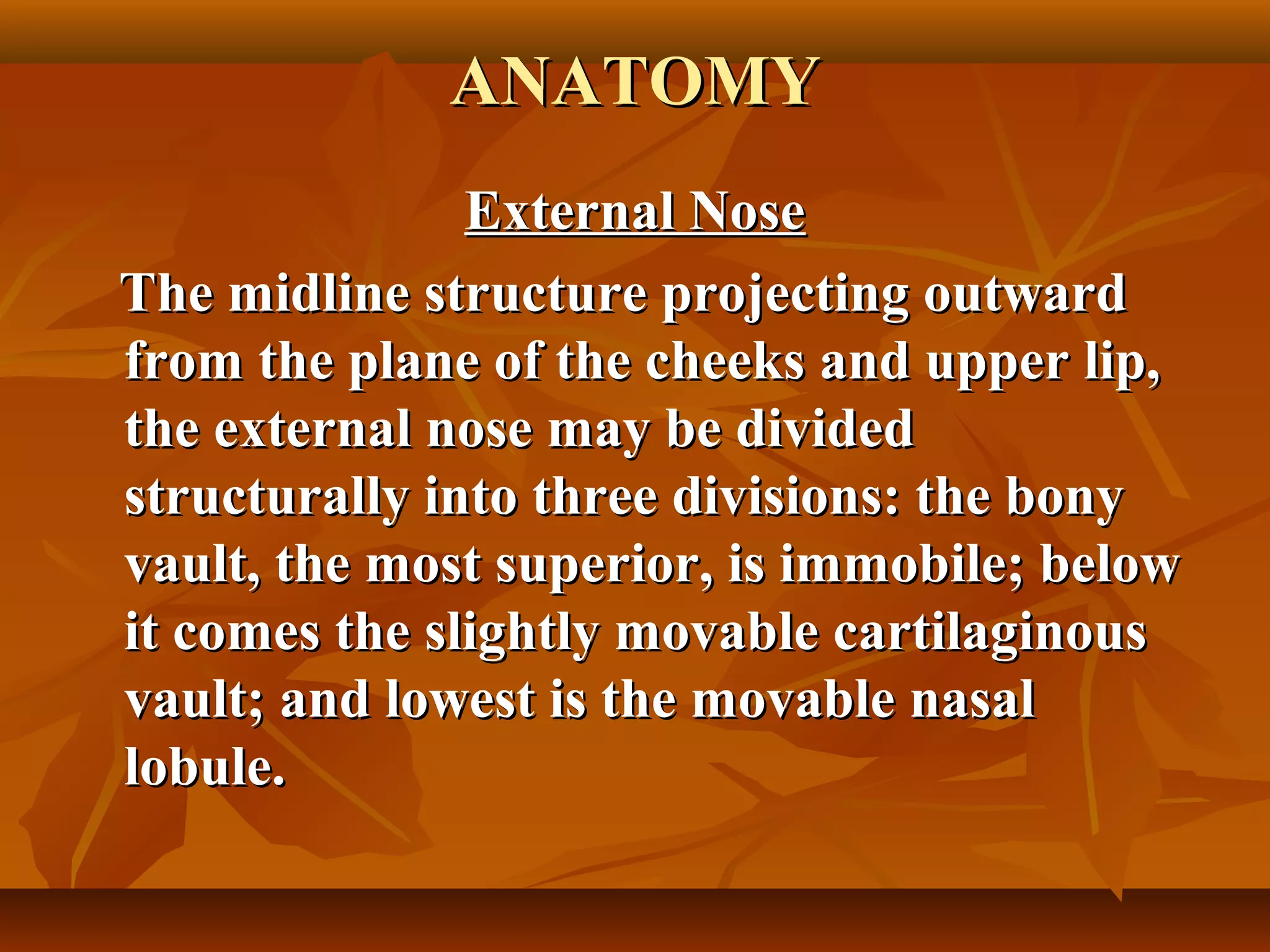 Anatomy and physiology of the nose | PPT