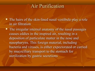 Anatomy and physiology of the nose | PPT