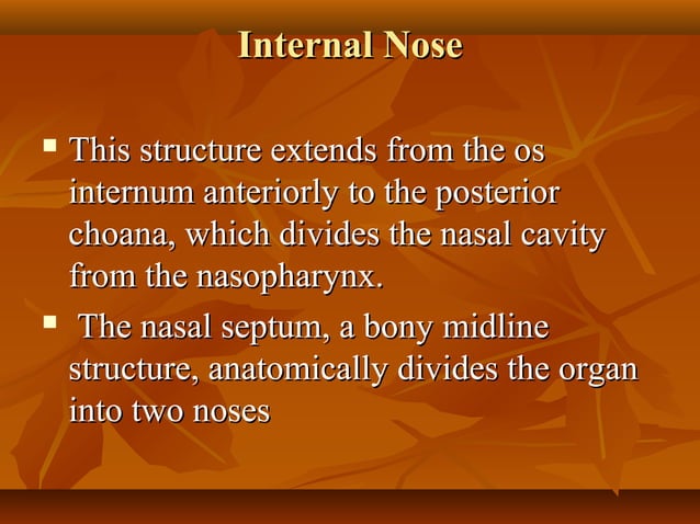 Anatomy and physiology of the nose | PPT