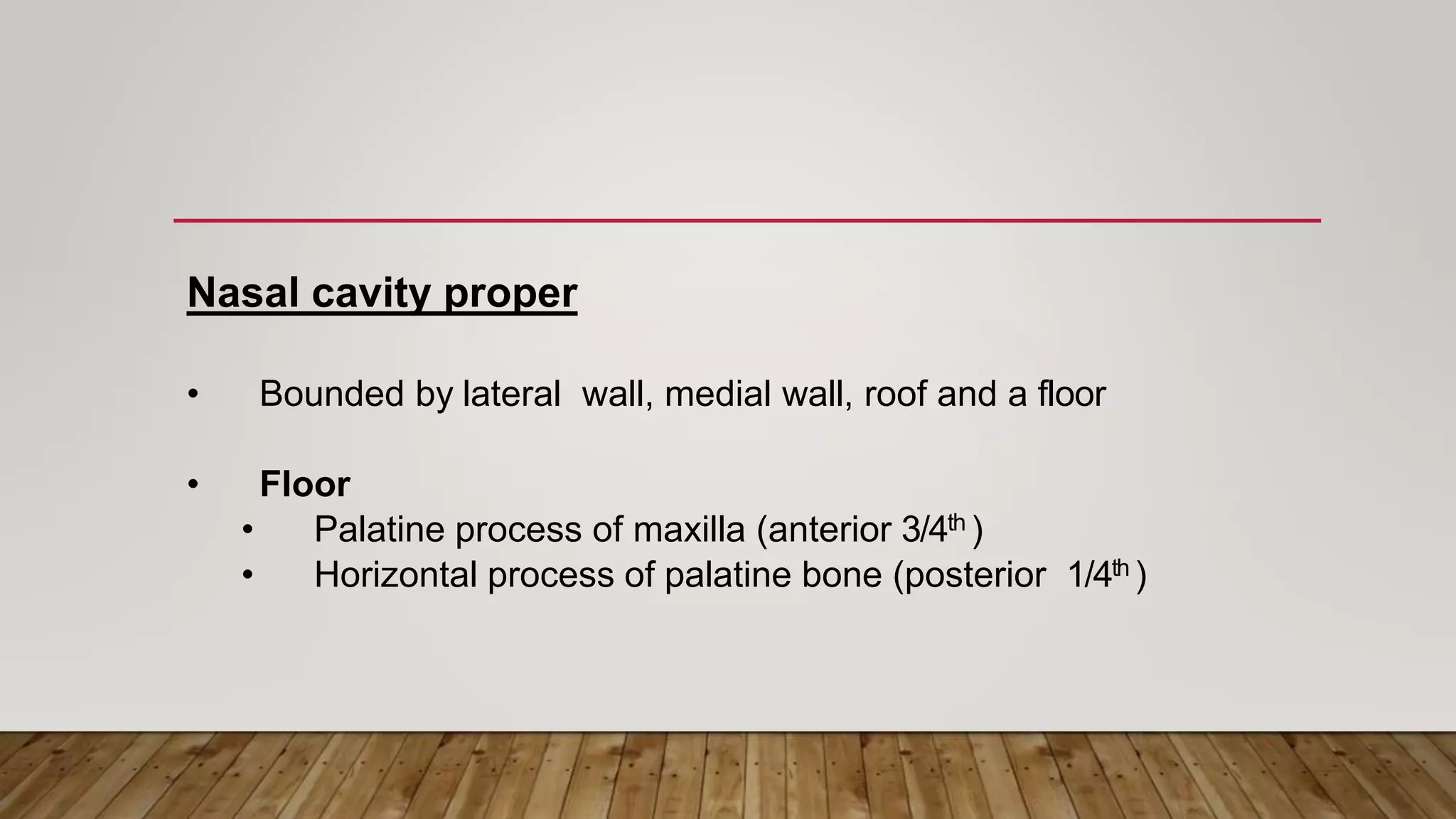 Anatomy and physiology of the nose | PPTX