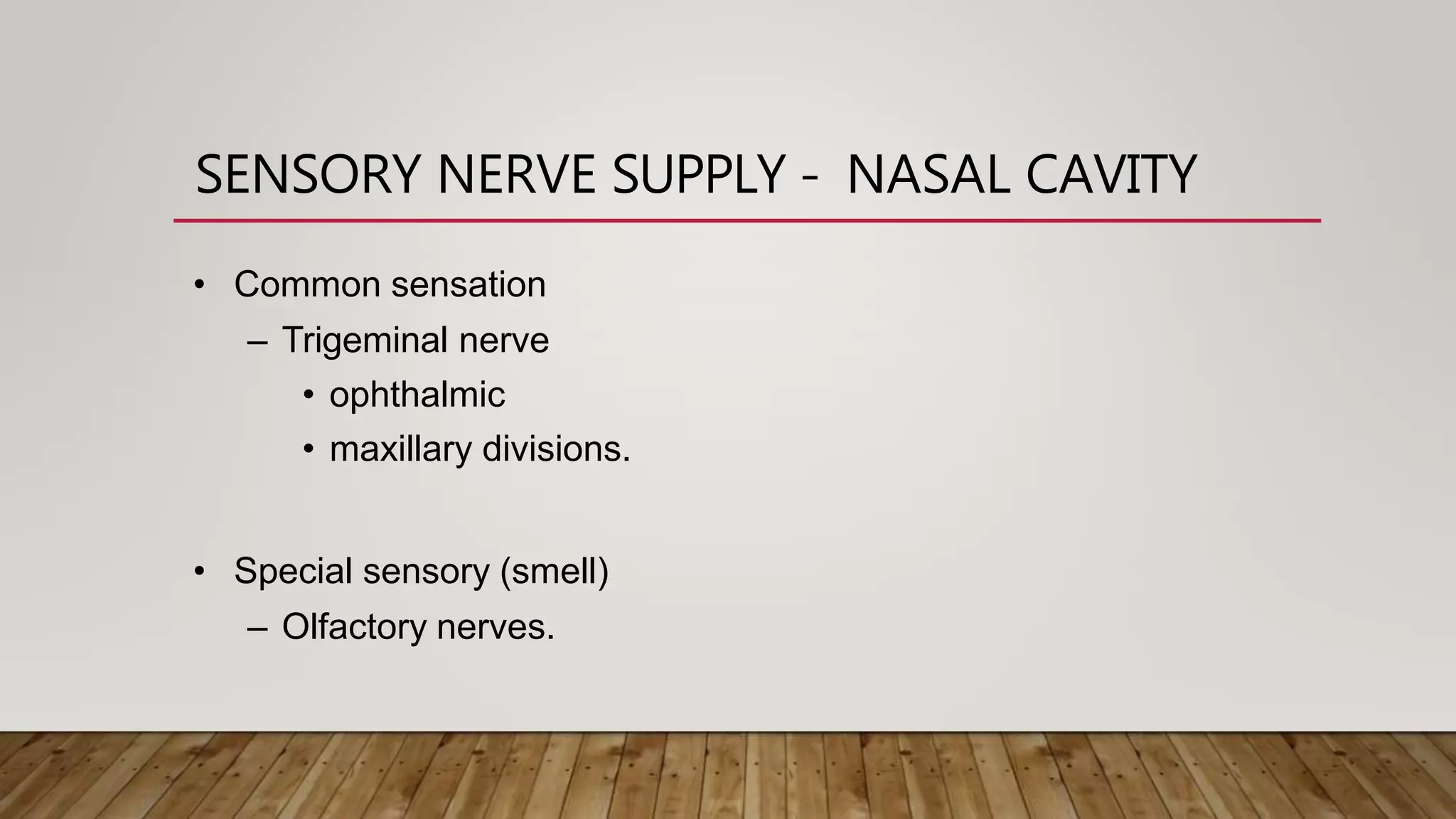 Anatomy and physiology of the nose | PPTX
