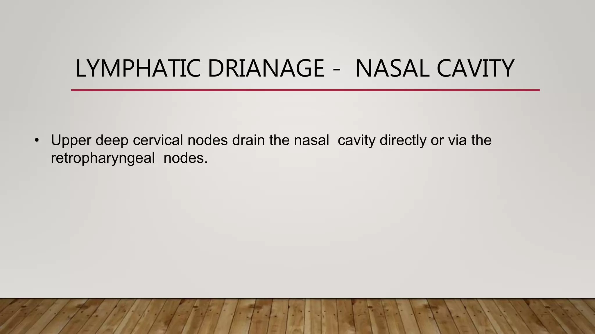 Anatomy and physiology of the nose | PPTX