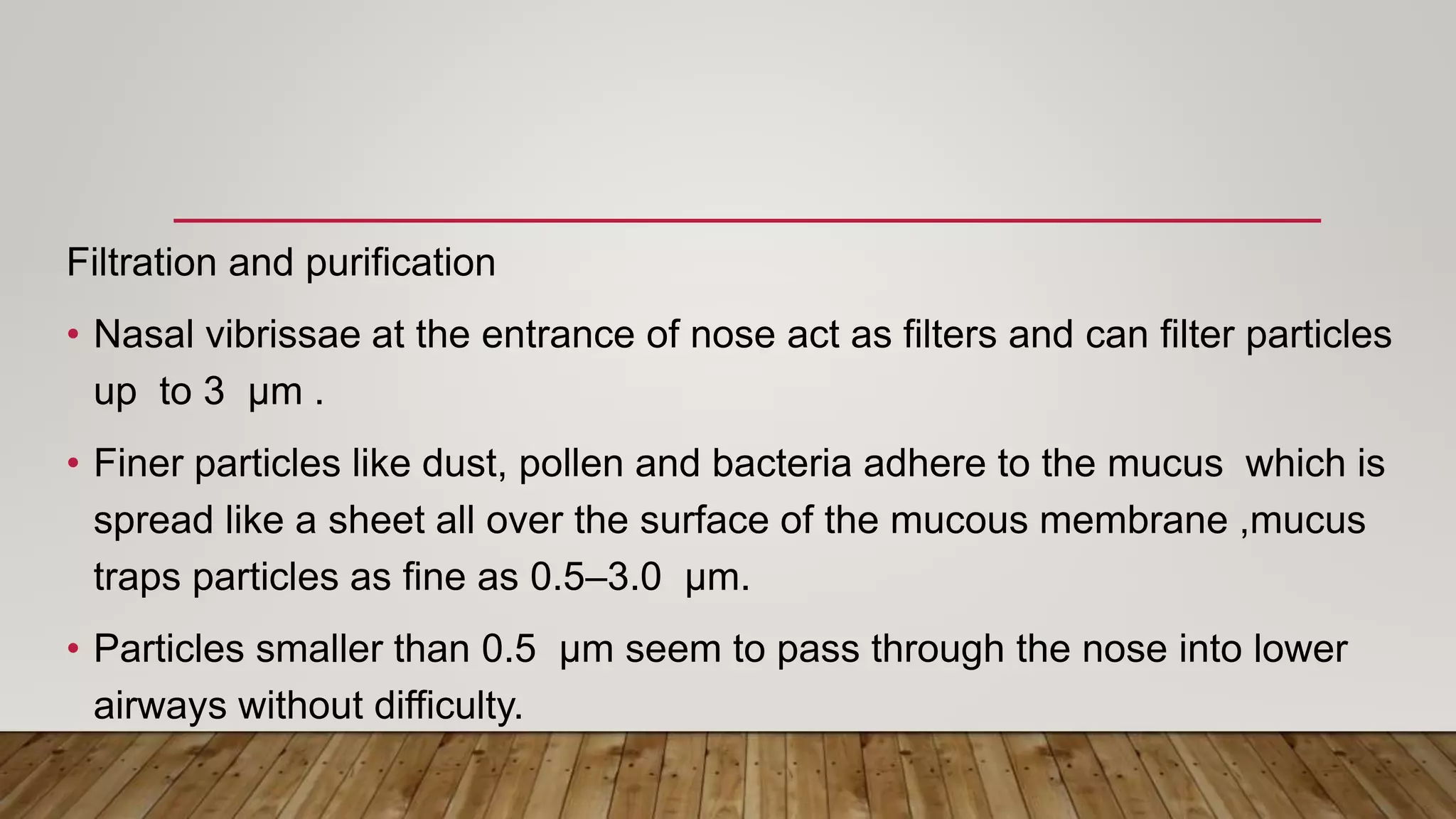 Anatomy and physiology of the nose | PPTX
