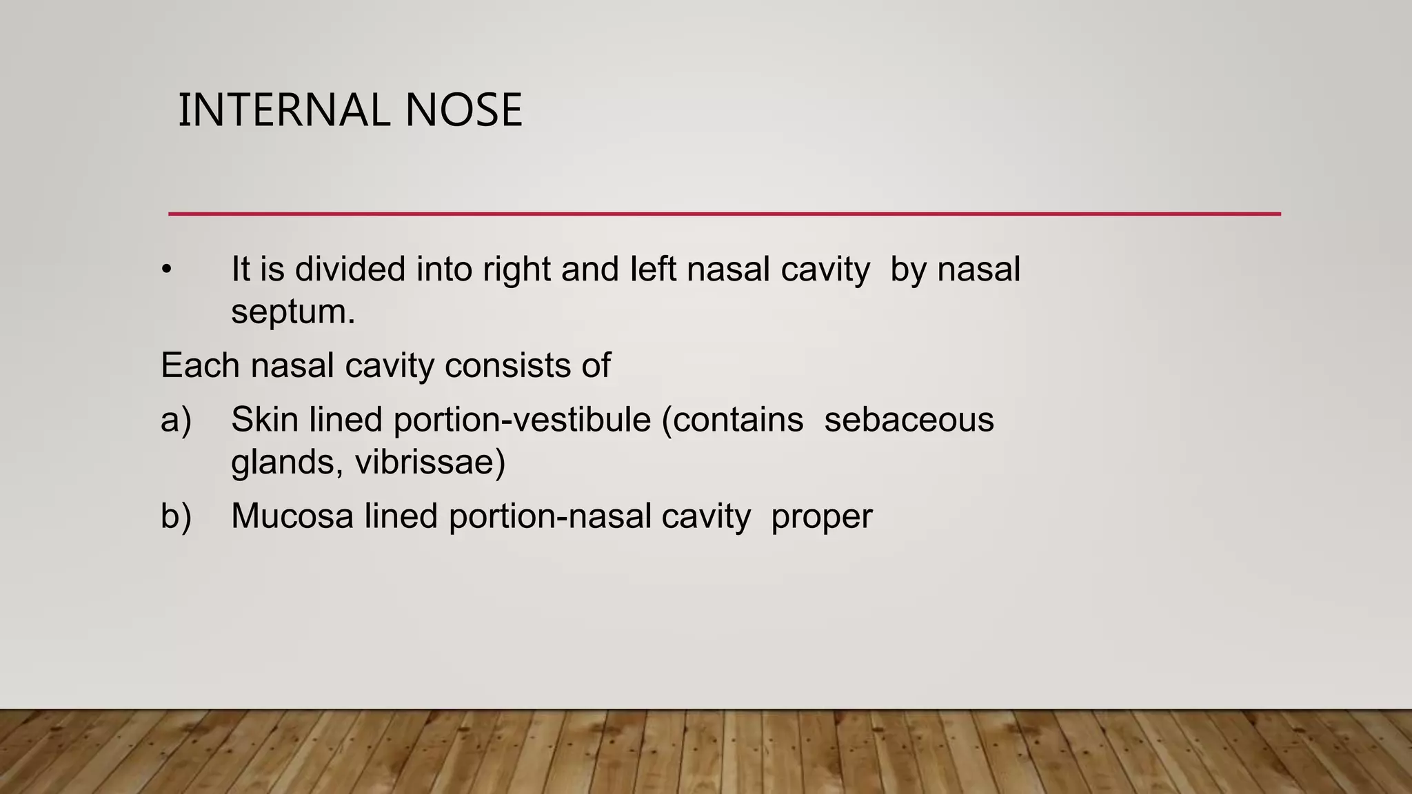 Anatomy and physiology of the nose | PPTX