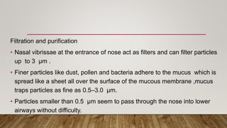 Anatomy and physiology of the nose | PPTX