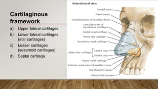 Anatomy and physiology of the nose | PPTX