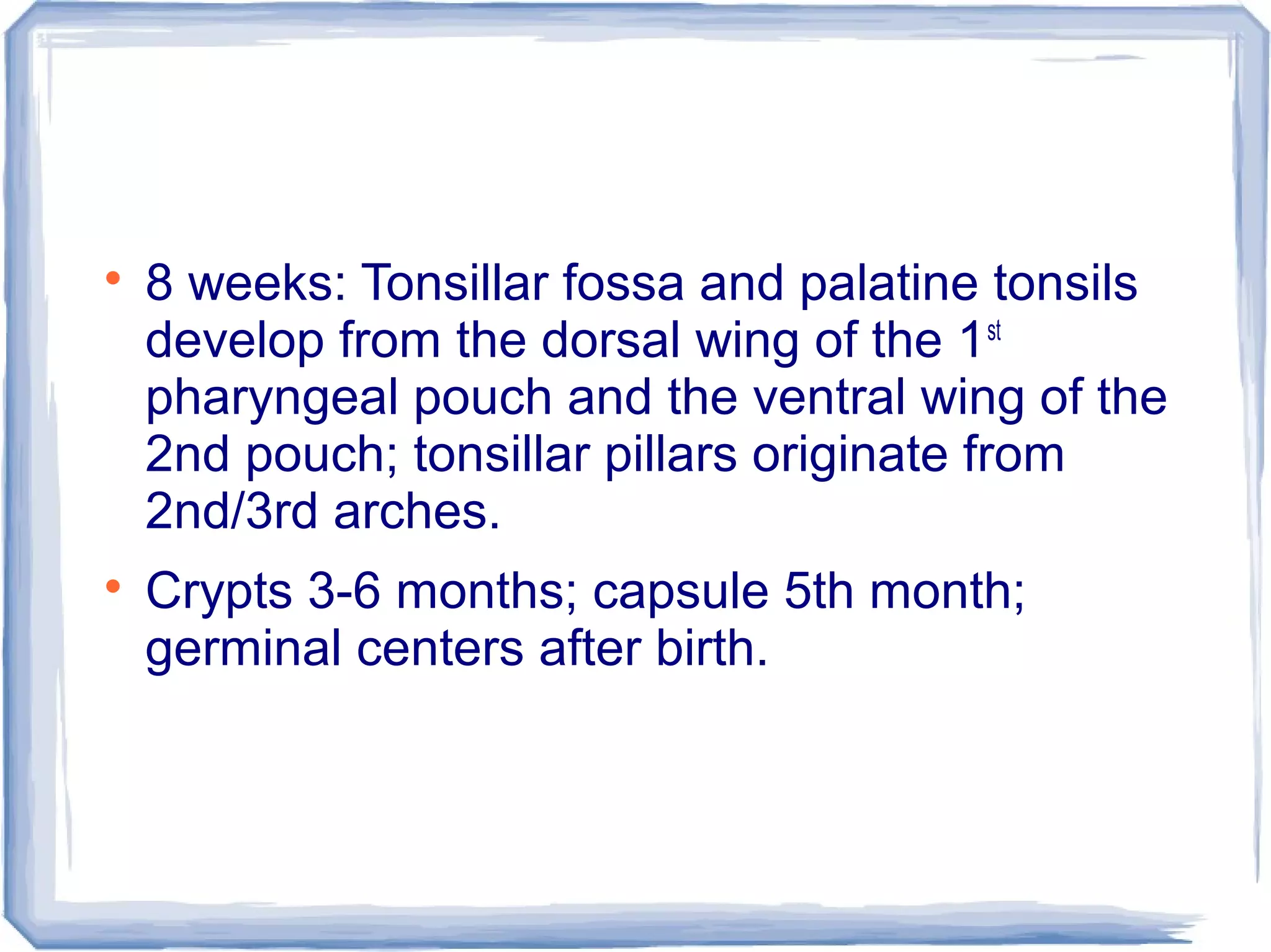 Anatomy and physiology of the palatine tonsil | PPT