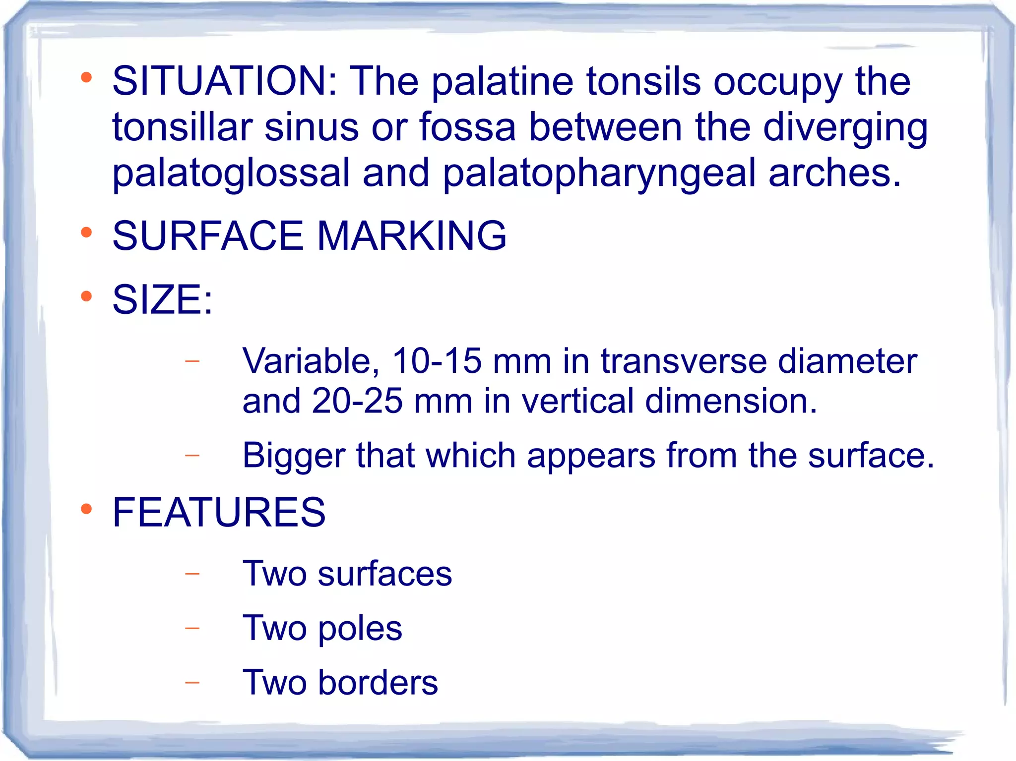 Anatomy and physiology of the palatine tonsil | PPT