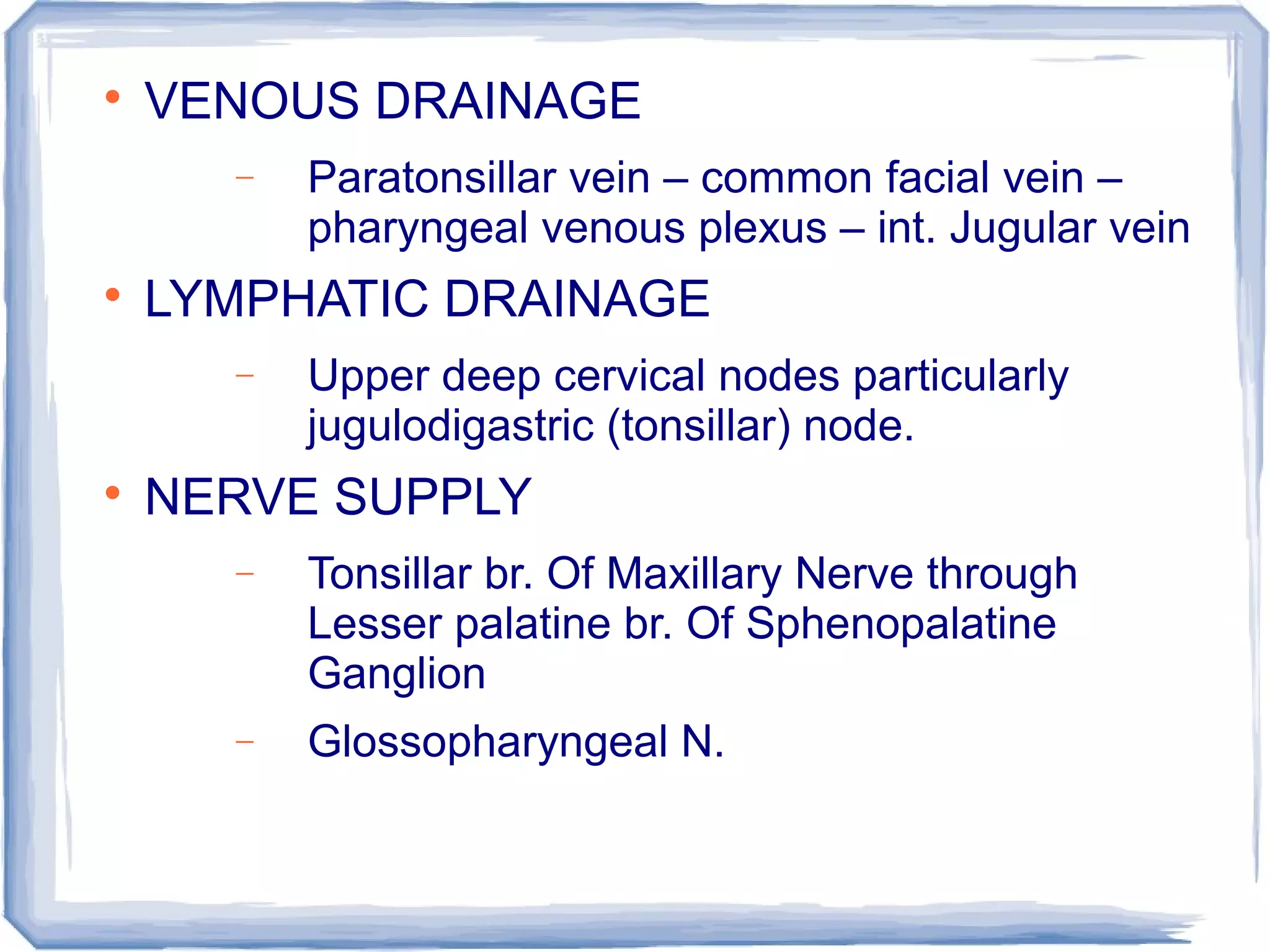Anatomy and physiology of the palatine tonsil | PPT
